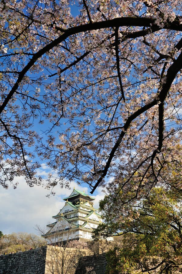Osaka-Schloss Mit Den Kirschblüten Stockfoto - Bild von verteidigung ...