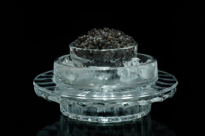 Osetra caviar in ice stock photo. Image of fish, bead - 31976760