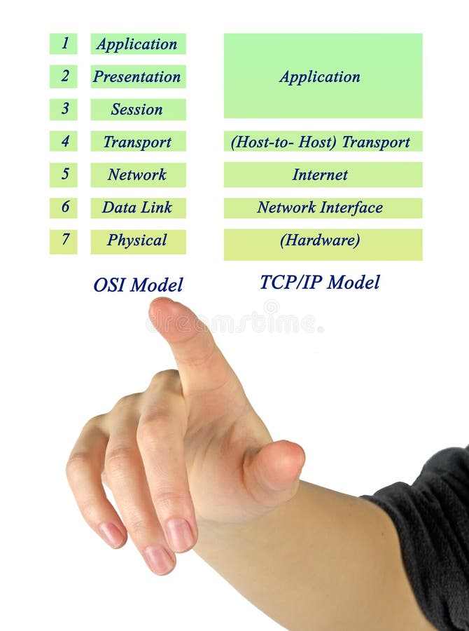 OSI Reference Model E Modello Layers Del TCP/IP Immagine Stock ...