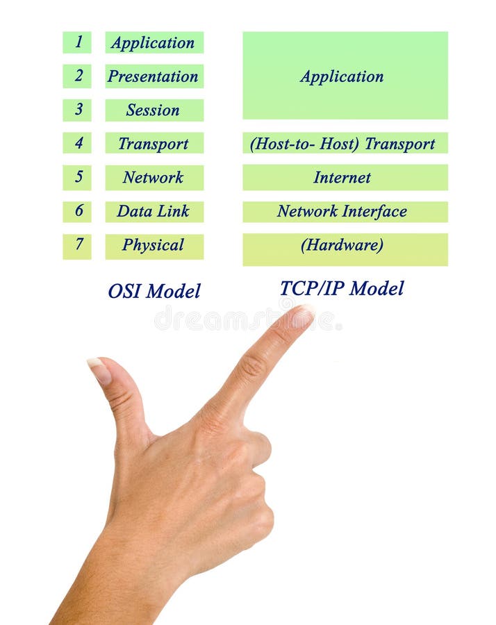 OSI Reference Model E Modello Layers Del TCP/IP Immagine Stock ...