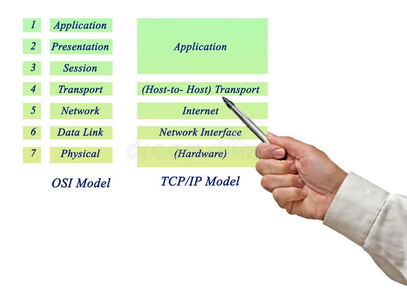 OSI Reference Model Y Modelo Layers Del TCP/IP Foto de archivo - Imagen ...