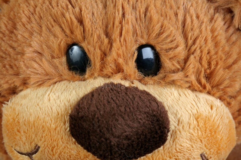 Oso De Peluche Lindo Y Oso De Peluche Feo Ilustración del Vector ...