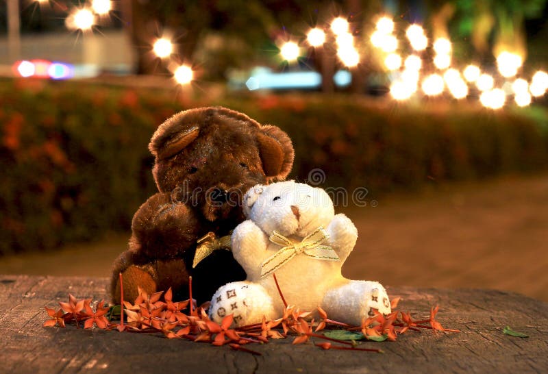 Oso lindo del peluche foto de archivo. Imagen de objetos - 66519900