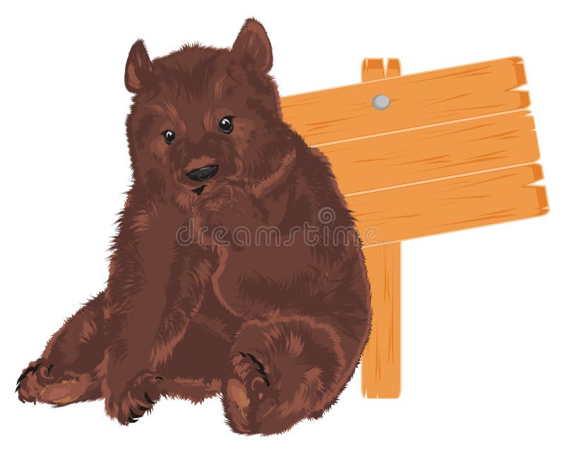 Oso y bandera stock de ilustración. Ilustración de bandera - 115567497