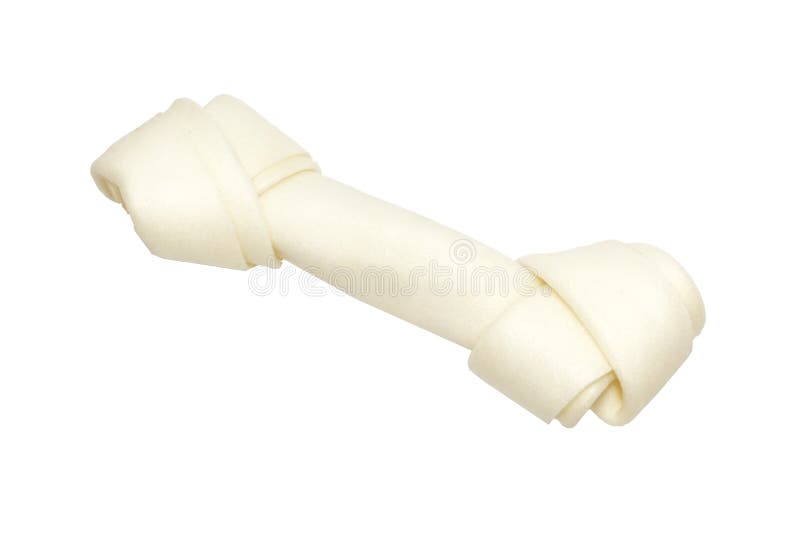 Osso branco do couro cru imagem de stock. Imagem de isolado - 5487287