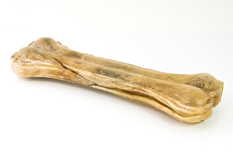 Osso di cane immagine stock. Immagine di masticare, animale - 3154985