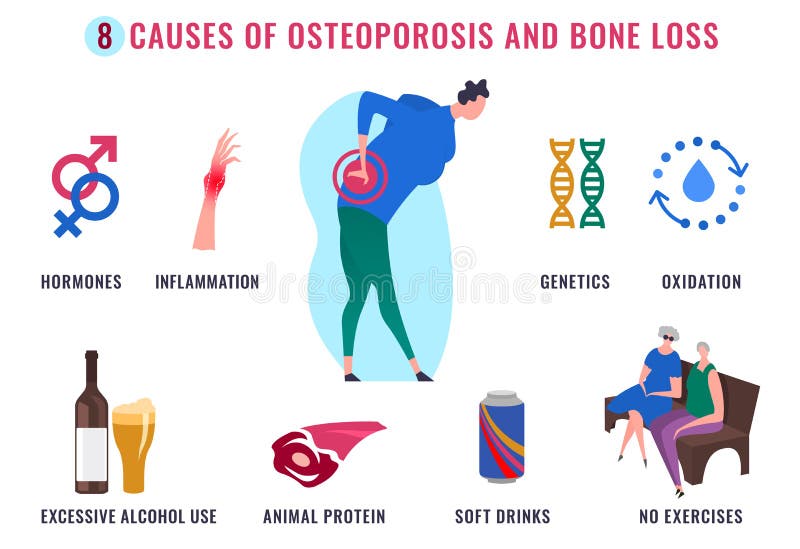 Understanding Osteoporosis Infographic Infographics Porn Sex Picture