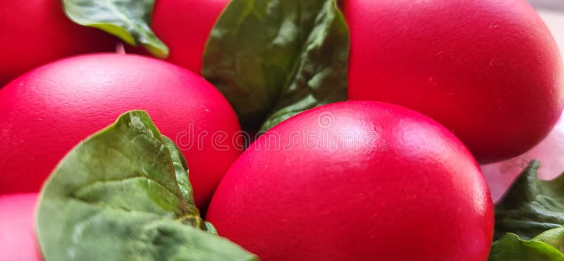 Oster Egs in Daylight with Green Leaf. Stock Image - Image of oster ...