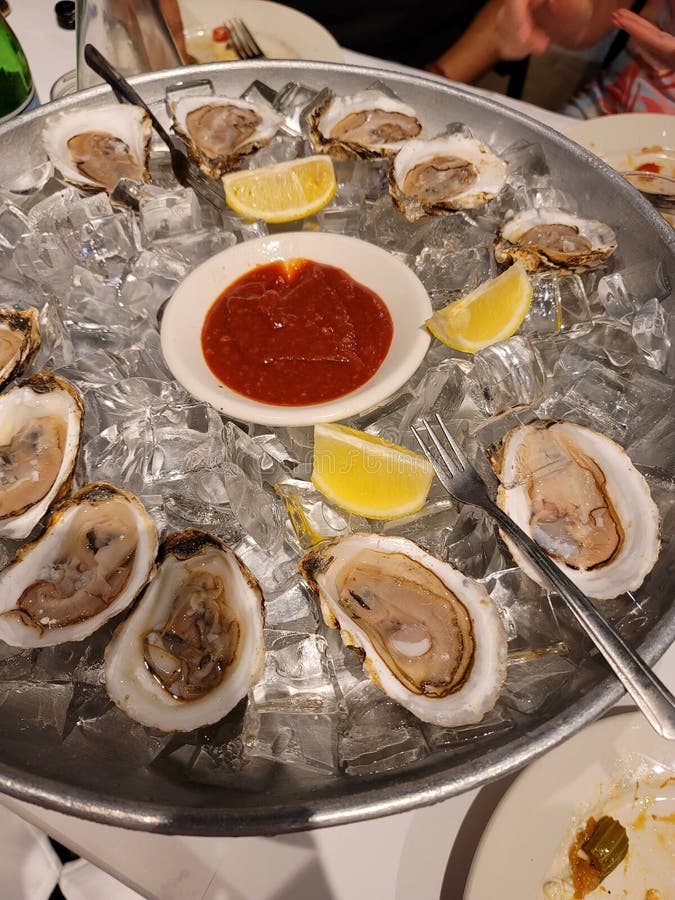 Oster at Iyd Best Having Fun Stock Image - Image of fish, insect: 227846339