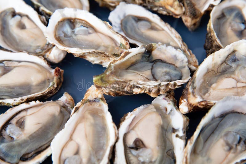 Ostiones Abiertos En La Placa Imagen de archivo - Imagen de ...