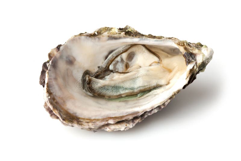 Ostra imagem de stock. Imagem de delicatessen, alimento - 6938841