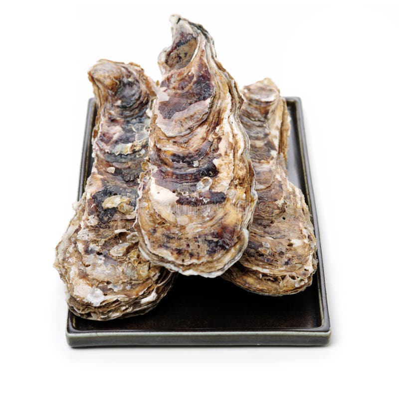 Ostra aberta fresca imagem de stock. Imagem de jantar - 145352631