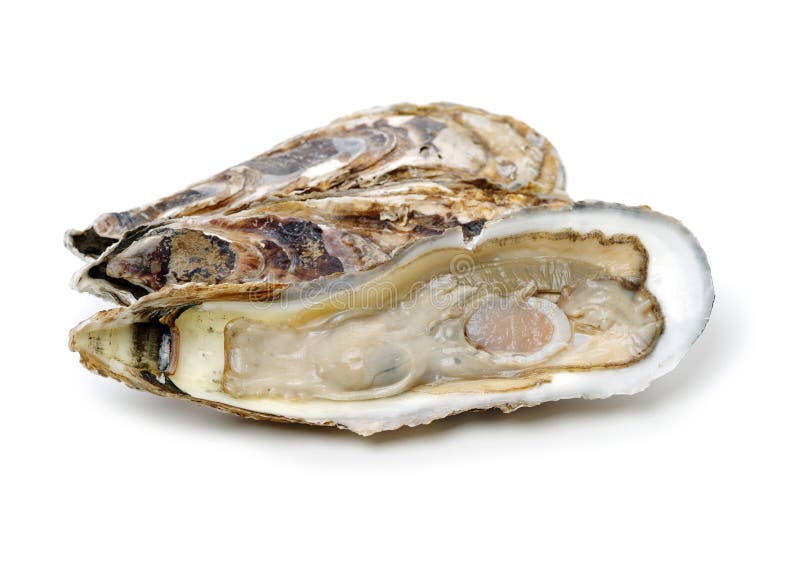 Ostra aberta fresca foto de stock. Imagem de peixes - 145352554