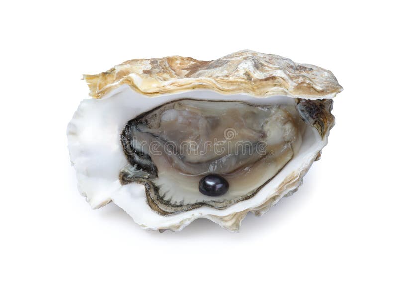 Ostra Abierta Con Perla Negra Aislada En Blanco Imagen de archivo ...