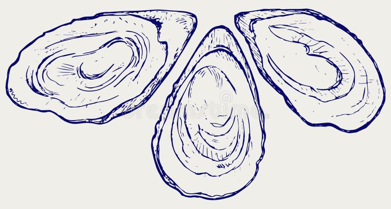 Ostra Ilustraciones Stock, Vectores, Y Clipart – (33,460 Ilustraciones ...