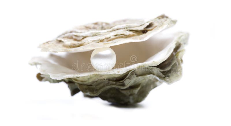 Ostra con la perla aislada foto de archivo. Imagen de libre - 152114708
