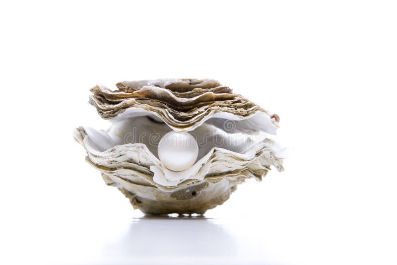 Perlas en shell de ostra imagen de archivo. Imagen de aguja - 4146831