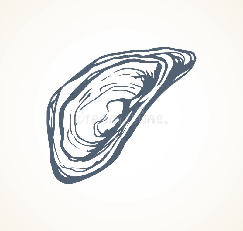 Ostra Desenho do vetor ilustração do vetor. Ilustração de concha ...