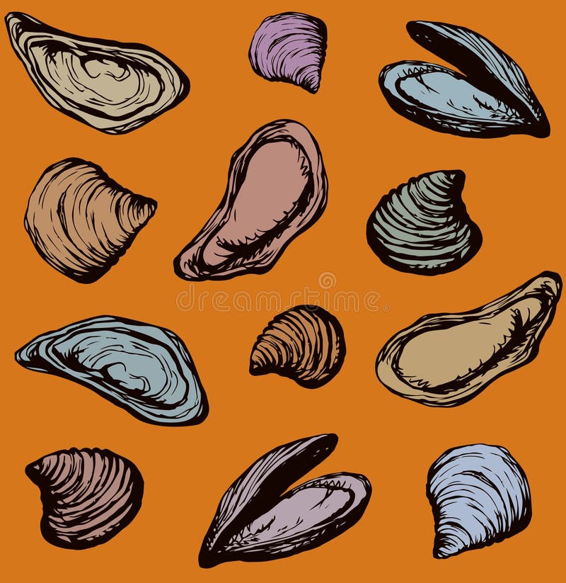 Ostra Desenho do vetor ilustração do vetor. Ilustração de desenho ...