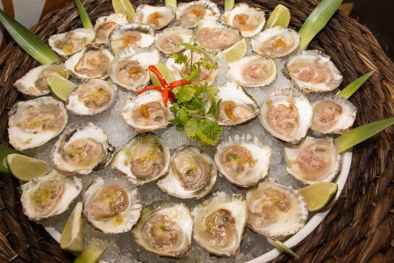 Ostra Fresca Do Mar Na Placa Do Gelo Imagem de Stock - Imagem de cubo ...