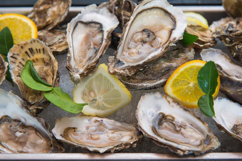 Ostra Fresca Na Linha Do Bufete Foto de Stock - Imagem de nave, linha ...