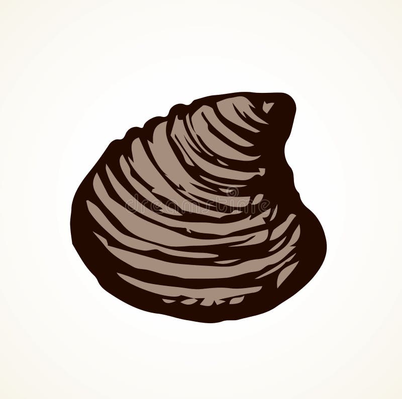 Ostra Gráfico del vector ilustración del vector. Ilustración de ...