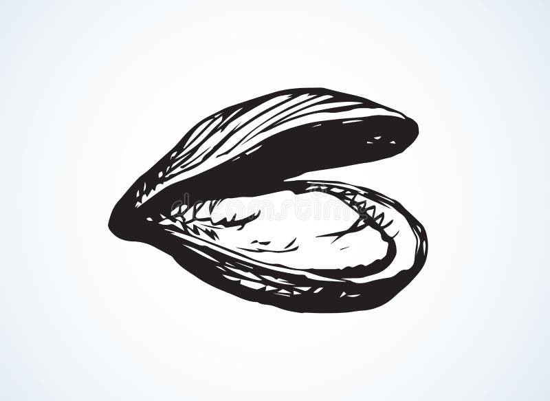 Ostra Gráfico del vector ilustración del vector. Ilustración de lujo ...