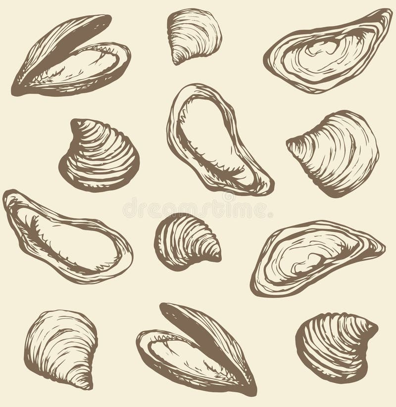 Ostra Gr?fico del vector ilustración del vector. Ilustración de doodle ...