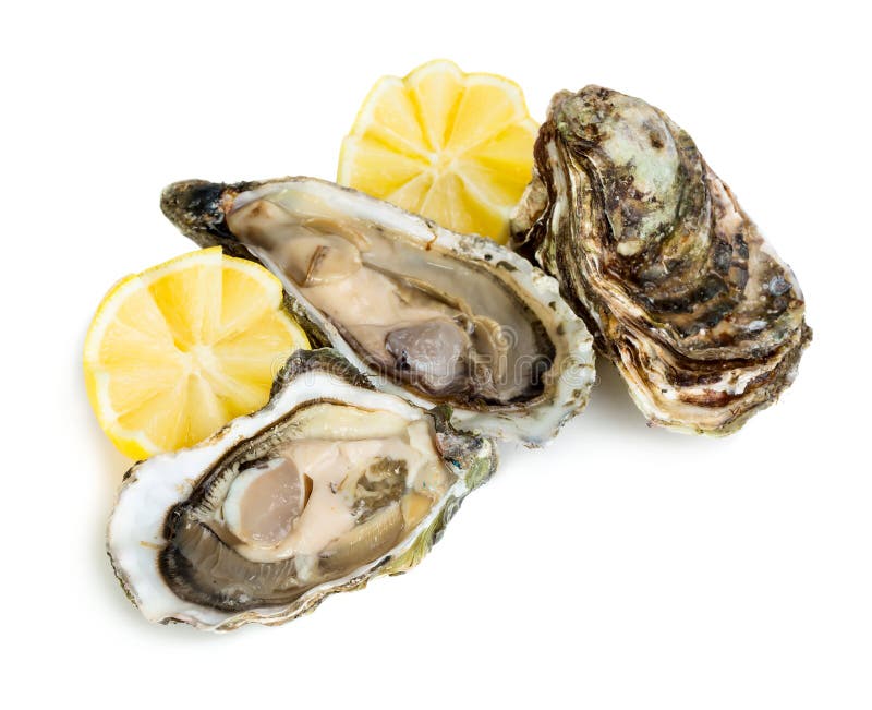 Ostras imagen de archivo. Imagen de alimento, pescados - 93023471
