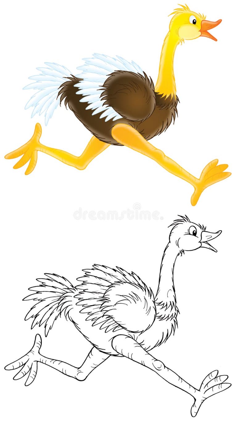 Cartoon Ostrich Running Stock Illustrations – 555 Cartoon Ostrich ...