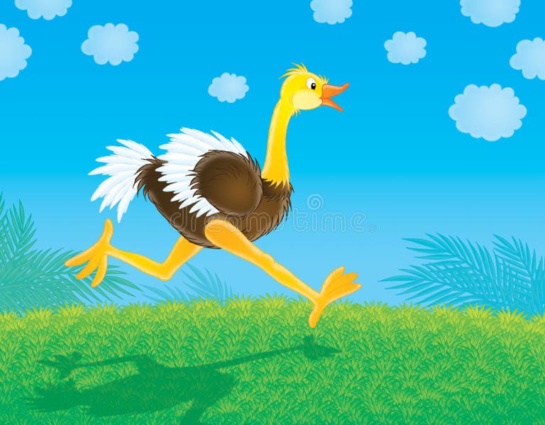 Cartoon Ostrich Running Stock Illustrations – 555 Cartoon Ostrich ...