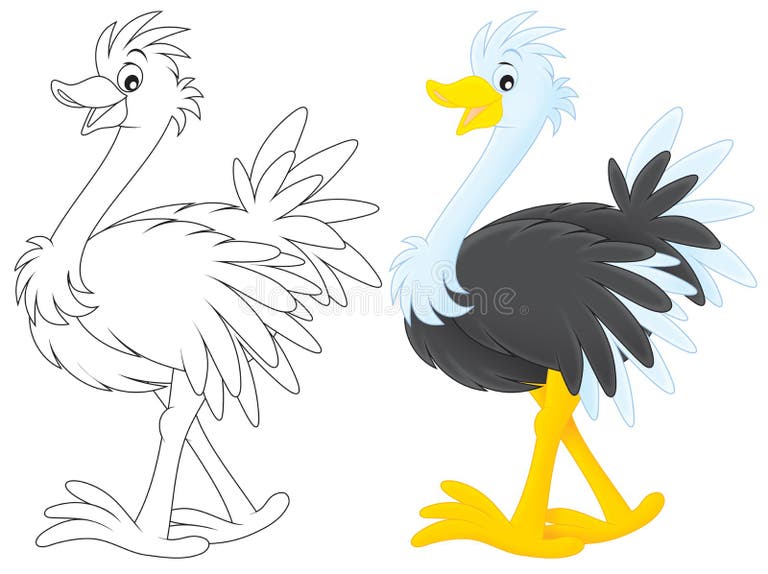 Ostrich Outline Stock Illustrations – 1,855 Ostrich Outline Stock ...