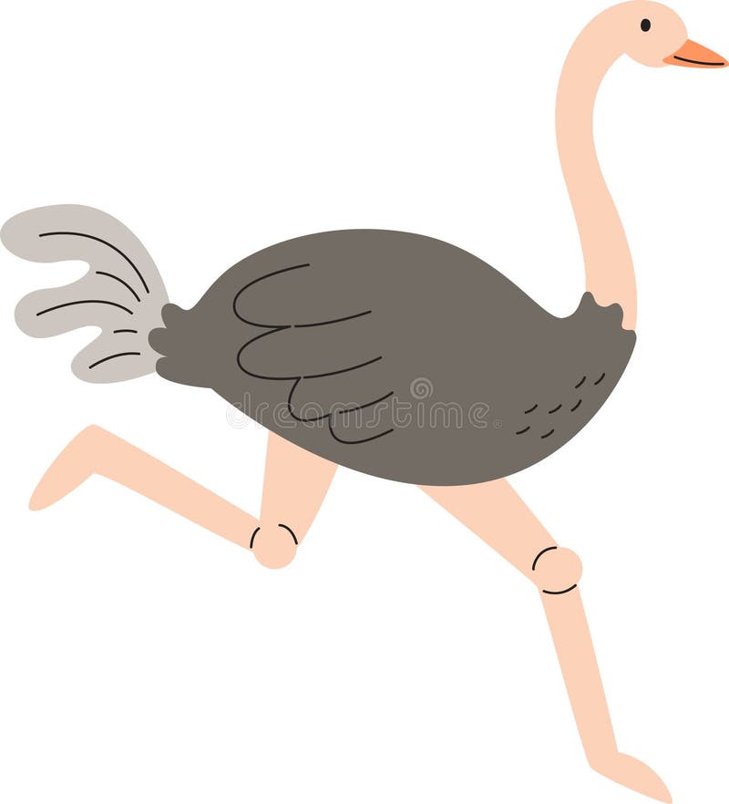 Bird Running in Ultra Hd with Canon Eos R3 Stock Illustration ...