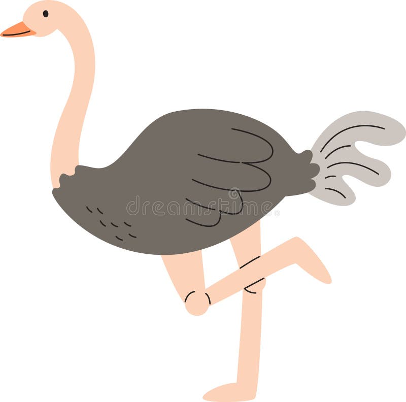 Ostrich Bird Staying stock vector. Illustration of feather - 299408297