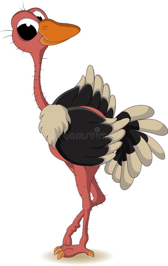 Ostrich cartoon stock illustration. Illustration of clipart - 28911424