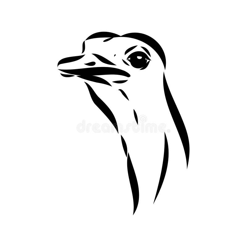 Ostrich Hand Drawn Vector Animal Illustration Ostrich Vector Stock ...