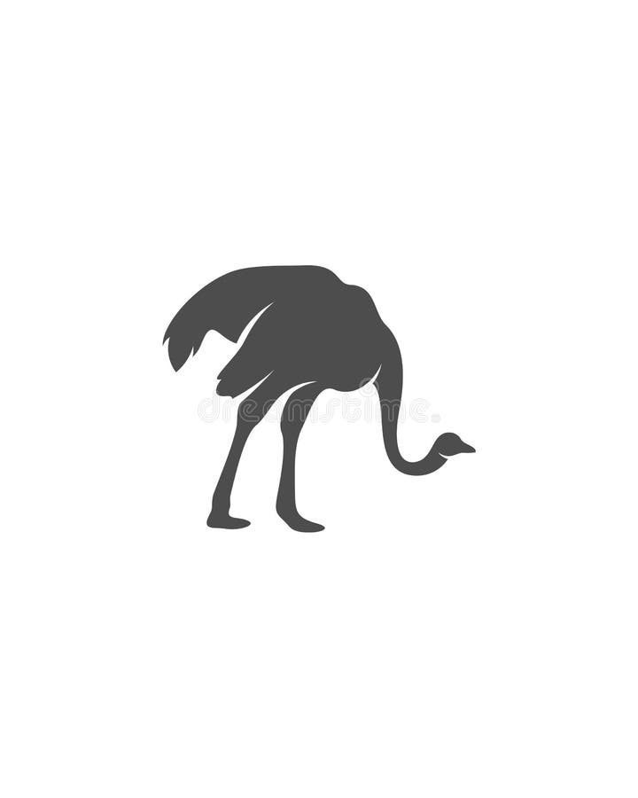 Ostrich Logo Vector, Animal Graphic, Ostrich Design Template ...