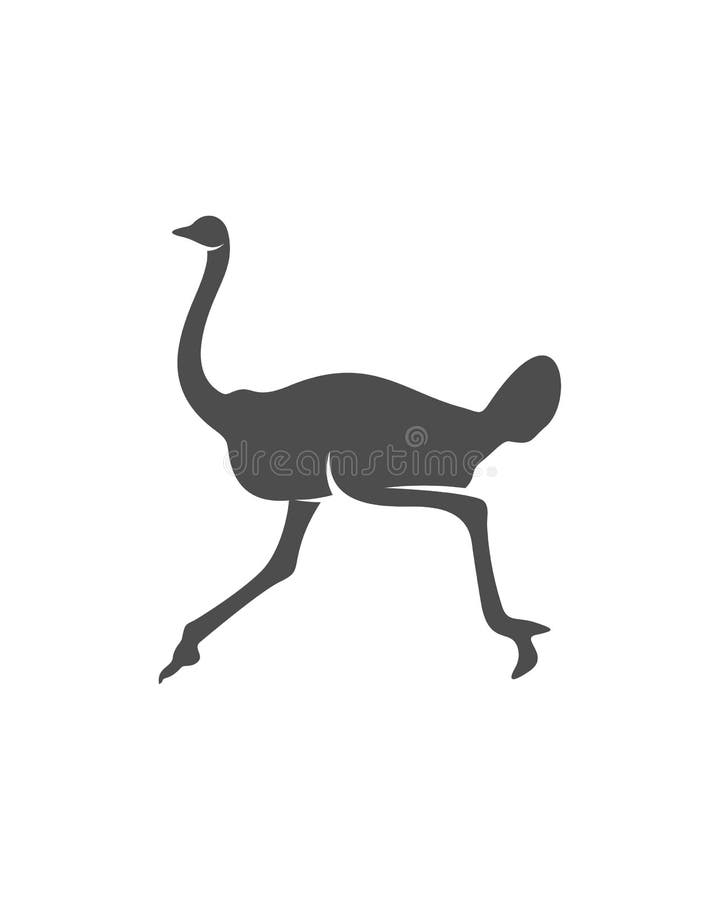 Ostrich Logo Vector, Animal Graphic, Ostrich Design Template ...