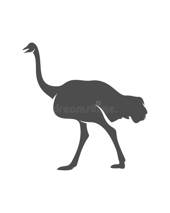 Ostrich Logo Vector, Animal Graphic, Ostrich Design Template ...