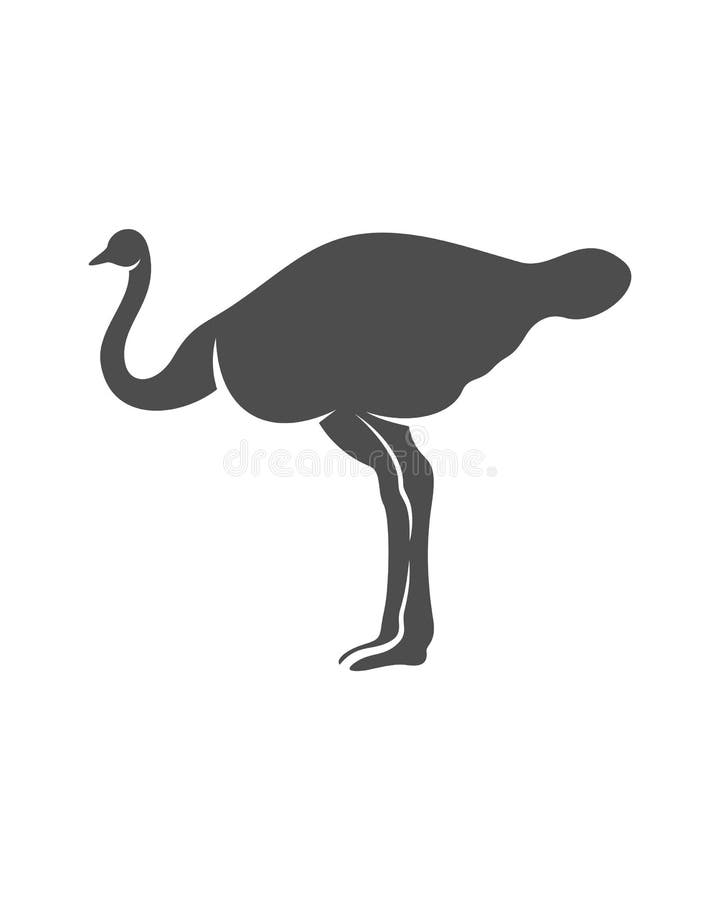 Ostrich Logo Vector, Animal Graphic, Ostrich Design Template ...