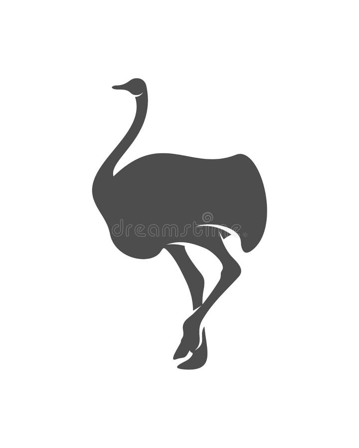 Ostrich Logo Vector, Animal Graphic, Ostrich Design Template ...