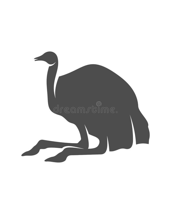 Ostrich Logo Vector, Animal Graphic, Ostrich Design Template ...