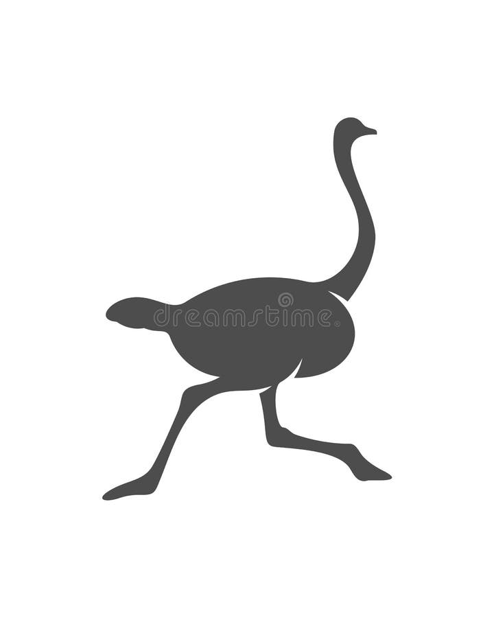 Ostrich Logo Vector, Animal Graphic, Ostrich Design Template ...