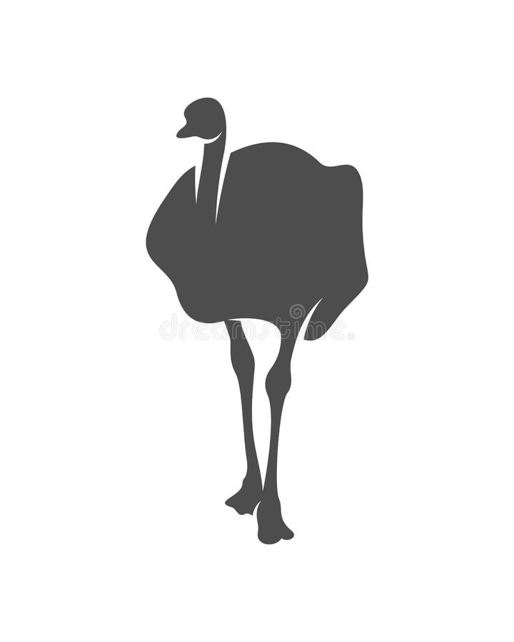 Ostrich Logo Vector, Animal Graphic, Ostrich Design Template ...
