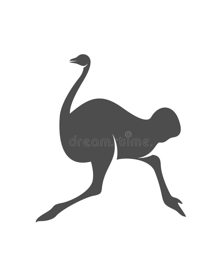 Ostrich Logo Vector, Animal Graphic, Ostrich Design Template ...