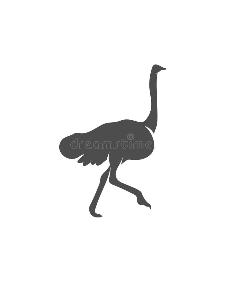 Ostrich Logo Vector, Animal Graphic, Ostrich Design Template ...