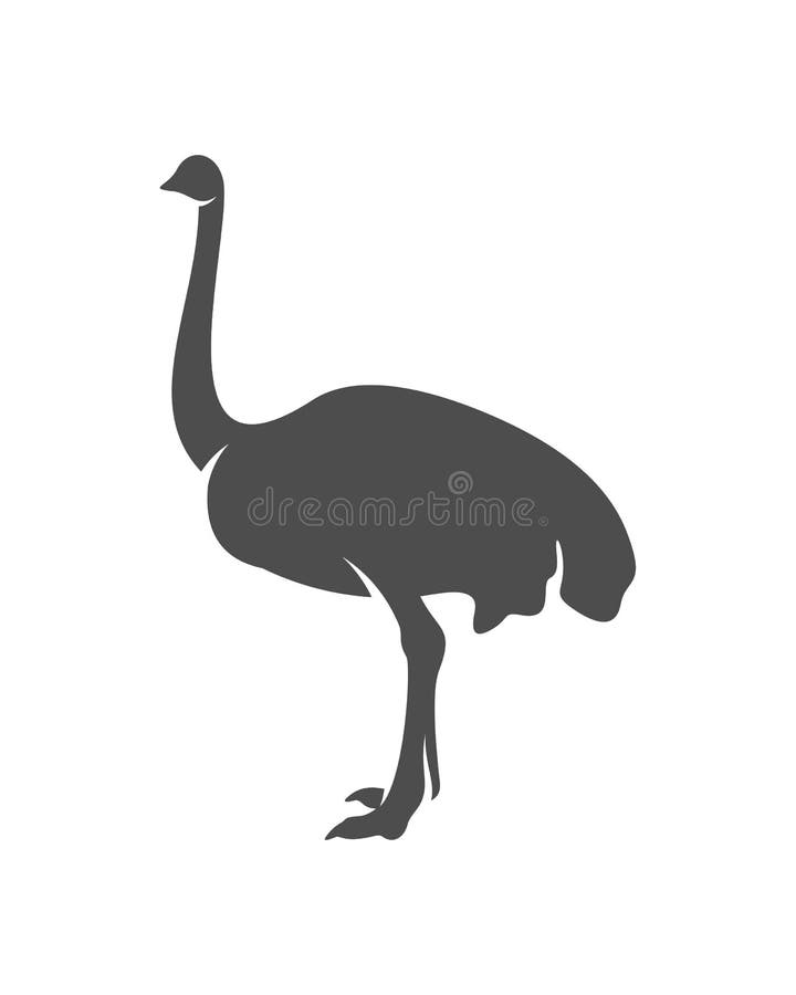 Ostrich Logo Vector, Animal Graphic, Ostrich Design Template ...