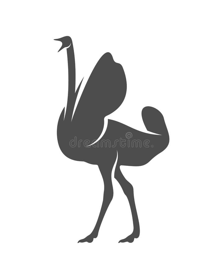 Ostrich Logo Vector, Animal Graphic, Ostrich Design Template ...