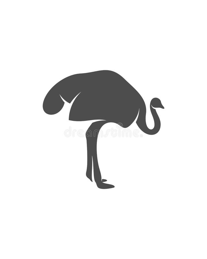 Ostrich Logo Vector, Animal Graphic, Ostrich Design Template ...