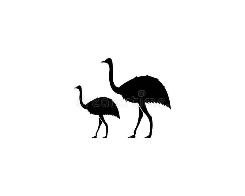 Ostrich logo vector stock vector. Illustration of design - 137077237